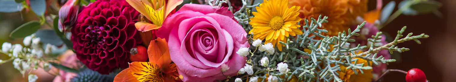 Life and Hope - Journey to my heart....